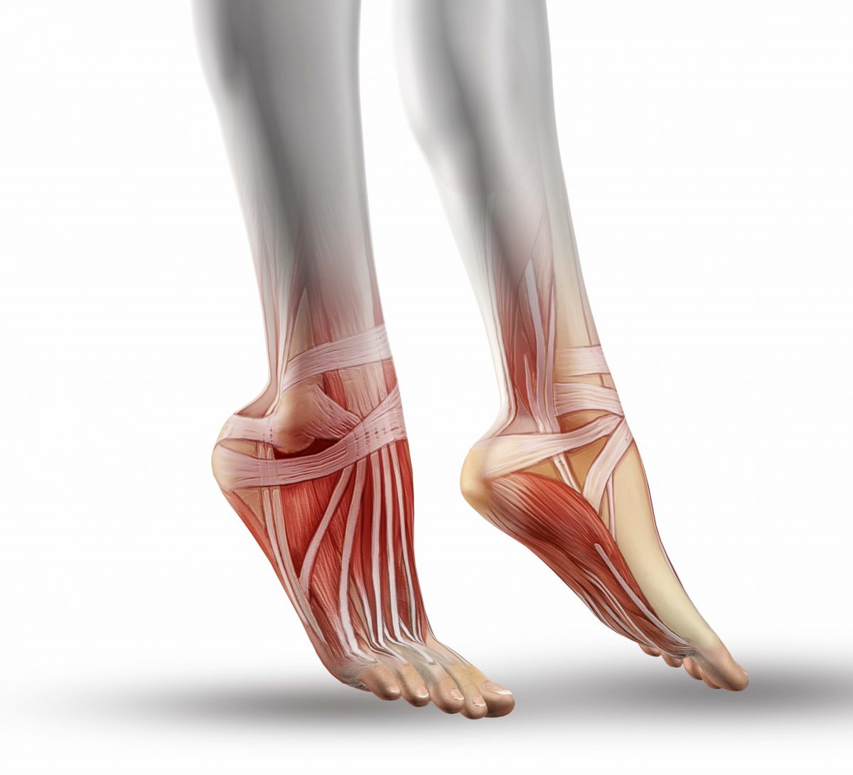 Platelet-Rich Plasma Tendonitis - Legacy Clinic of Chiropractic